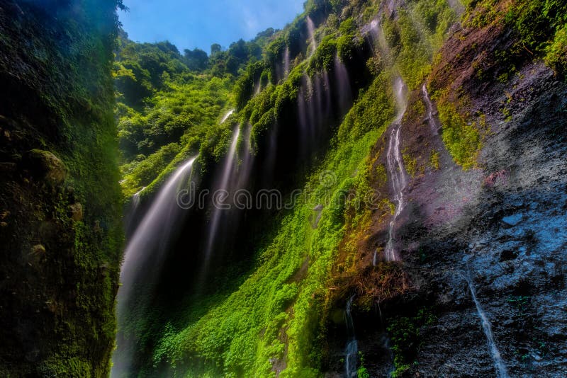 The Beautiful Madakaripura Waterfall in East Java, Indonesia Stock ...