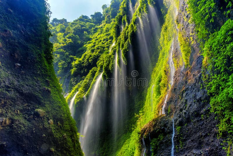 The Beautiful Madakaripura Waterfall in East Java, Indonesia Stock ...