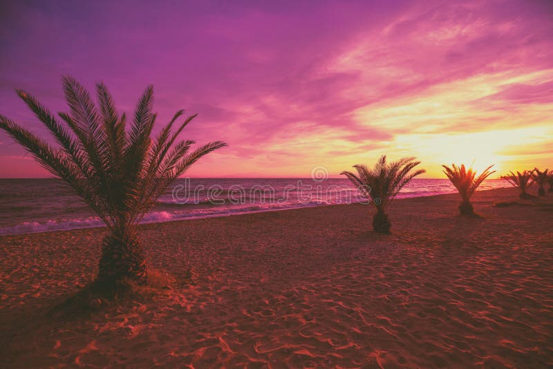 Beautiful Magenta Sunset on the Beach Stock Image - Image of ocean ...