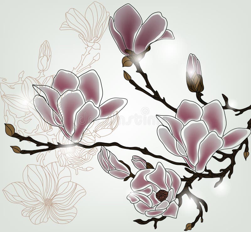 Magnolia Branch Engraving Vector Illustration Stock Vector ...