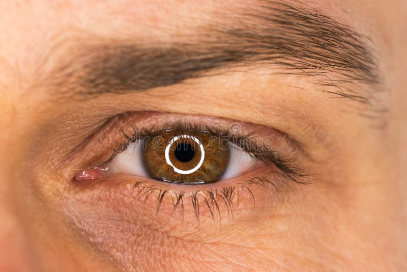 Beautiful Male Eye Close-up Stock Photo - Image of business, paranoia ...
