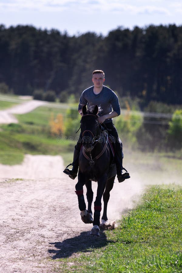 Beautiful Man Riding a Horse on Field Stock Image - Image of domestic ...