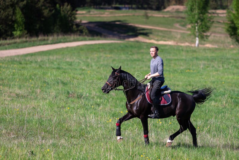 Beautiful Man Riding a Horse on Field Stock Photo - Image of gelding ...