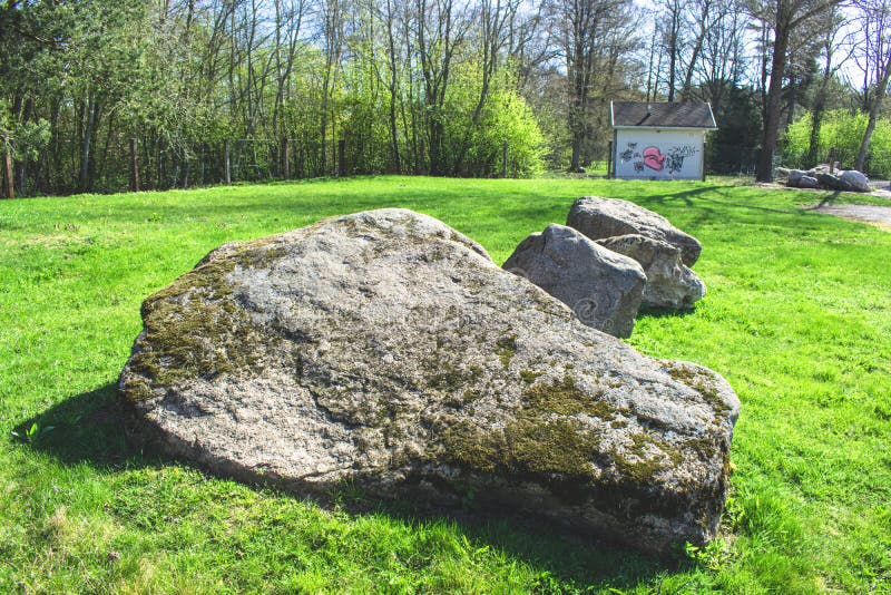 Beautiful Many Light Green Grass and Brown Rock Nature Texture on ...