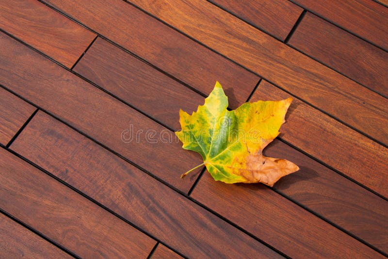 Beautiful Maple Leaf on Ipe Wood Boards, Hardwood Deck Texture ...