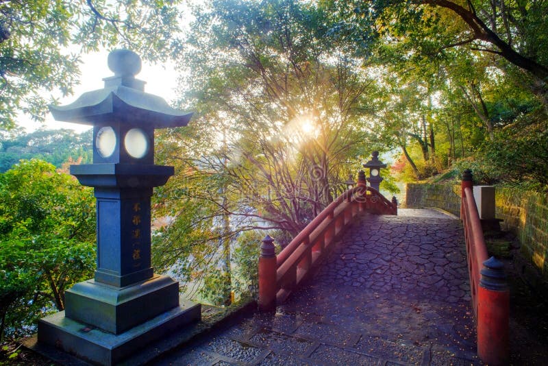 Beautiful Maple Place, Taiwan Stock Image - Image of leafage, brown ...