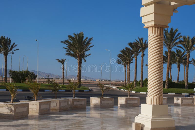 Beautiful Marble Column on a Background of Palm Trees Stock Photo ...
