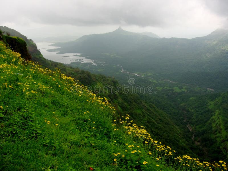 Distant Landscape Scene - Free Photo from StockFreeImages