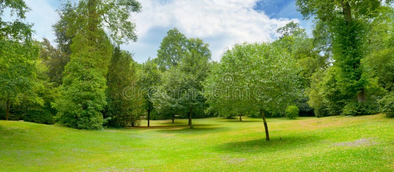 Beautiful Meadow Covered with Grass in the Park Stock Photo - Image of ...