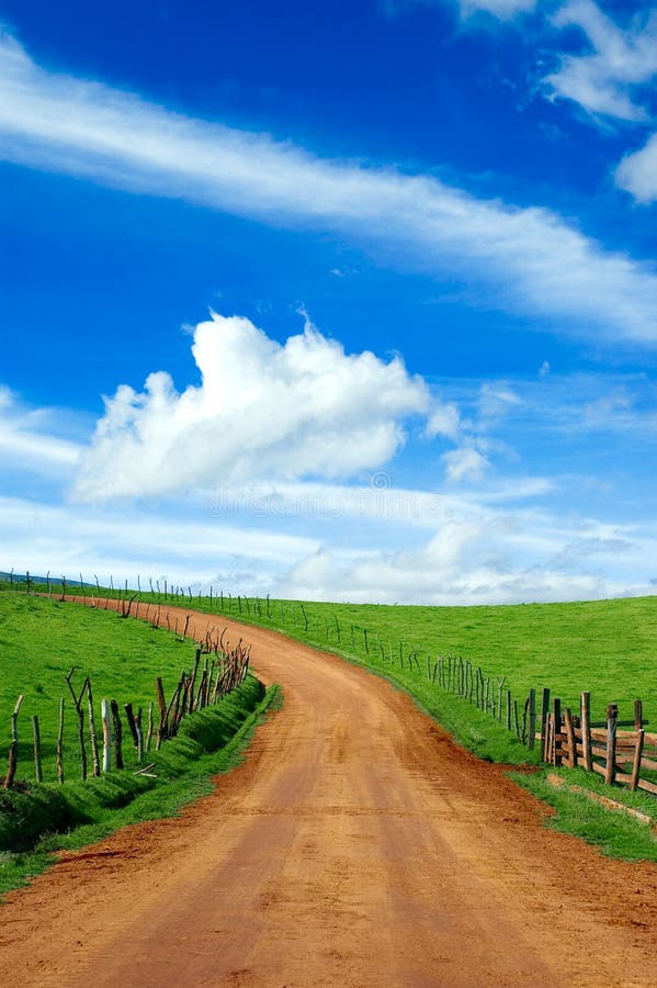 Beautiful Meadow and Dirt Road Stock Photo - Image of beautiful ...