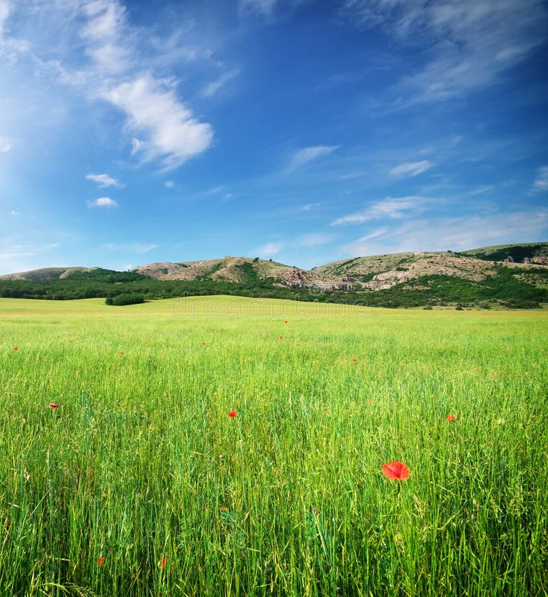 Beautiful meadow landscape stock photo. Image of farm - 66285616