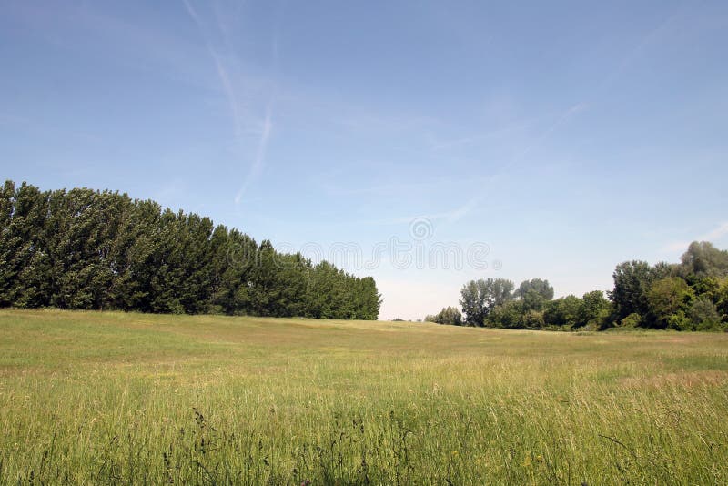 A beautiful meadow stock image. Image of green, nature - 92688819