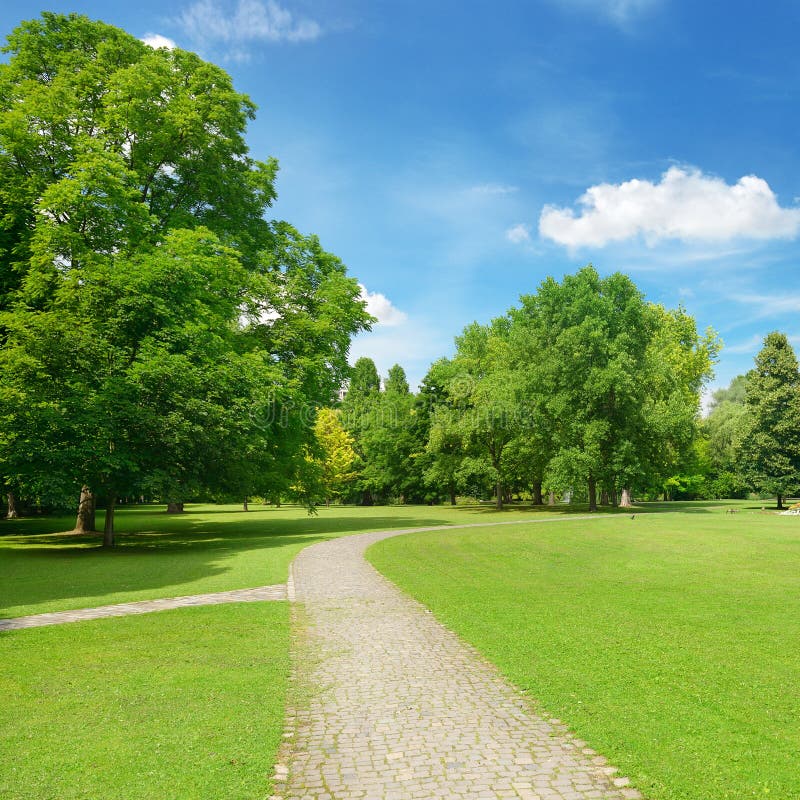 Beautiful meadow stock image. Image of grassland, fall - 33721303