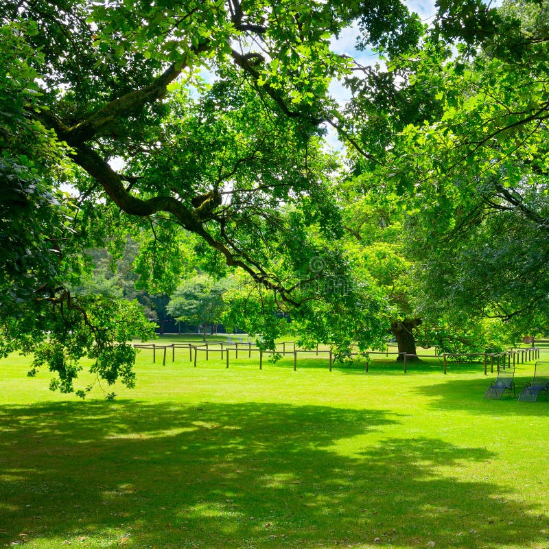 Beautiful meadow stock image. Image of grassland, fall - 33721303