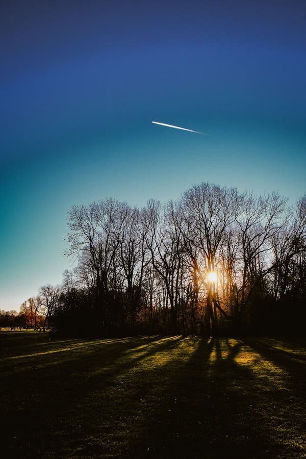A Beautiful Meadow with the Sun Setting Down Behind the Trees and the ...