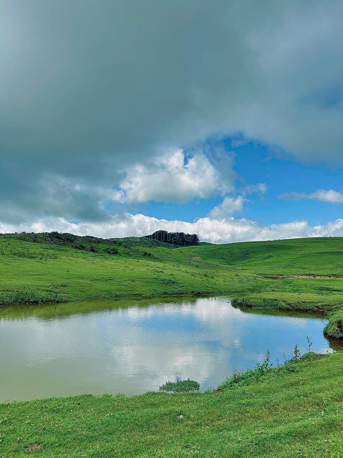 Beautiful Meadows with Clean Swamps Stock Image - Image of water ...