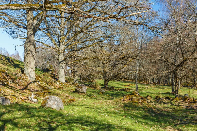 Beautiful Meadows Landscape Stock Photo - Image of idyllic, beautiful ...