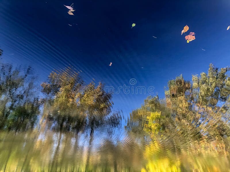 Trippy Autumn Reflection in Swirling Forest Lake. Stock Image - Image ...