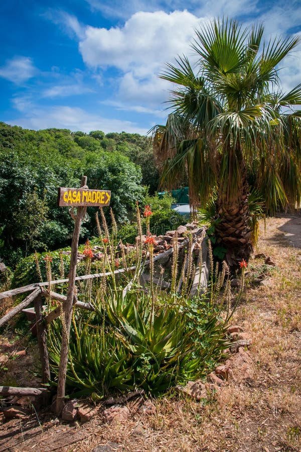 Beautiful Mediterranean Garden Stock Image - Image of hill, europe ...