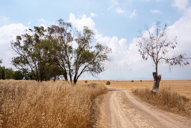 Beautiful Mediterranean Landscape of a Field. North Cyprus Stock Image ...
