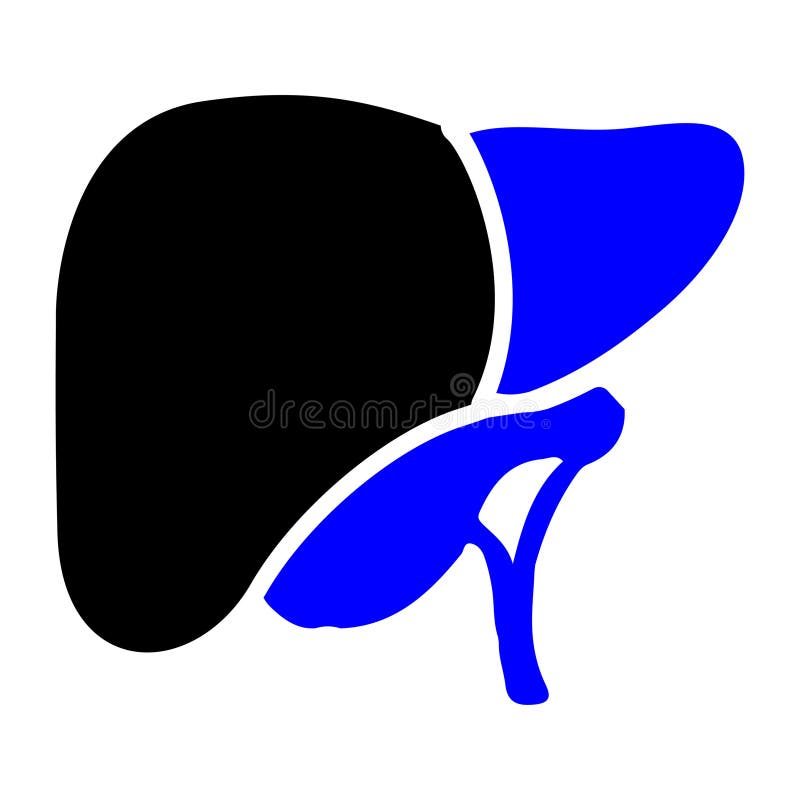Human liver Vector Icon stock illustration. Illustration of body ...