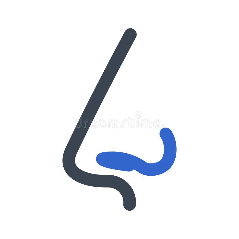 Human nose icon stock vector. Illustration of nose, anatomy - 209740089