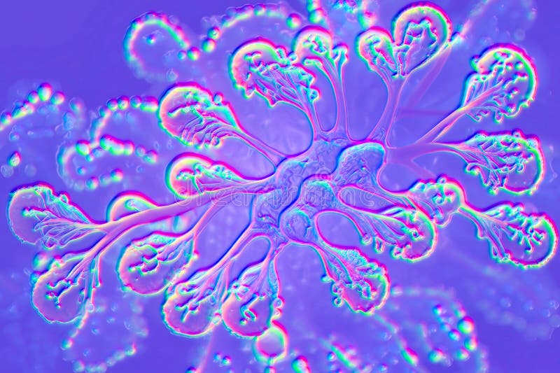 Beautiful Microworld, Microbes of Different Shapes, 3D Illustration ...