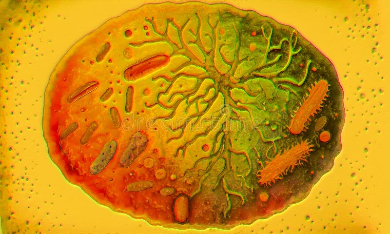 Beautiful Microworld, Microbes of Different Shapes, 3D Illustration ...