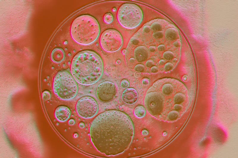 Beautiful Microworld, Microbes of Different Shapes, 3D Illustration ...