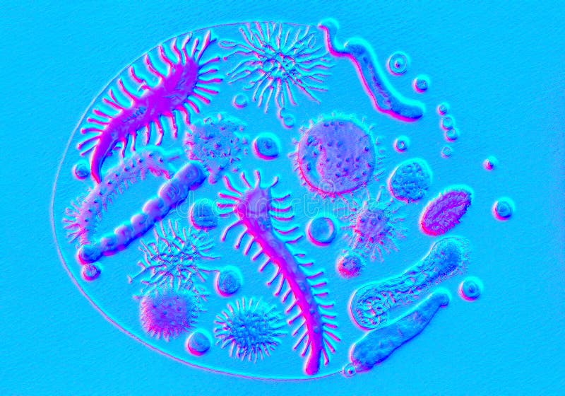 Beautiful Microworld, Microbes of Different Shapes, 3D Illustration ...