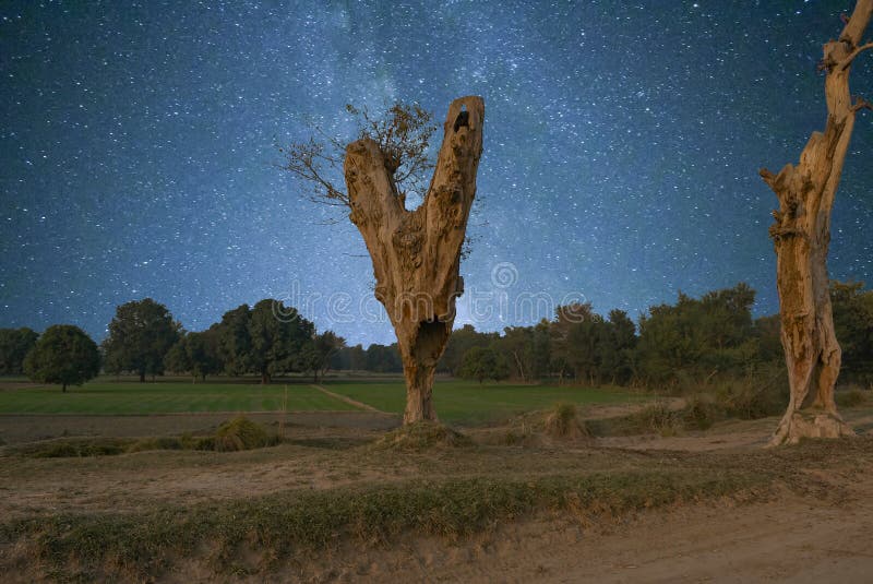 Beautiful Milky Way on the Green Fields and Trees Stock Image - Image ...