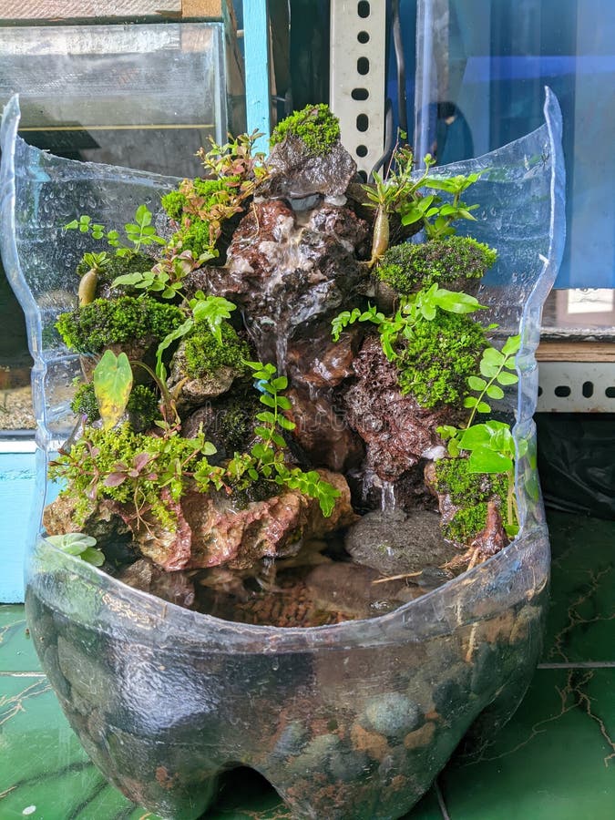 Paludarium