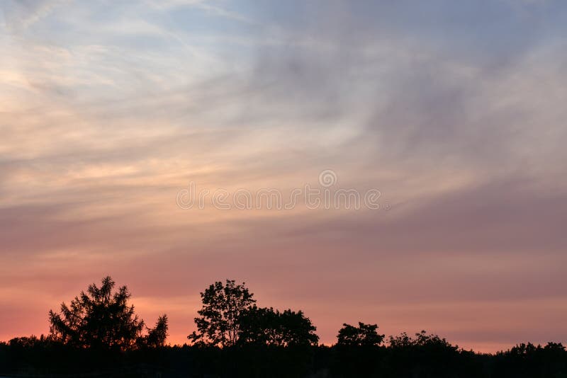 Delicate Sunset Over the Forest Stock Photo - Image of beautiful ...