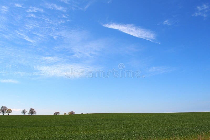 Beautiful Minimalist Spring Landscape Plain with Green Meadows Blue Sky ...