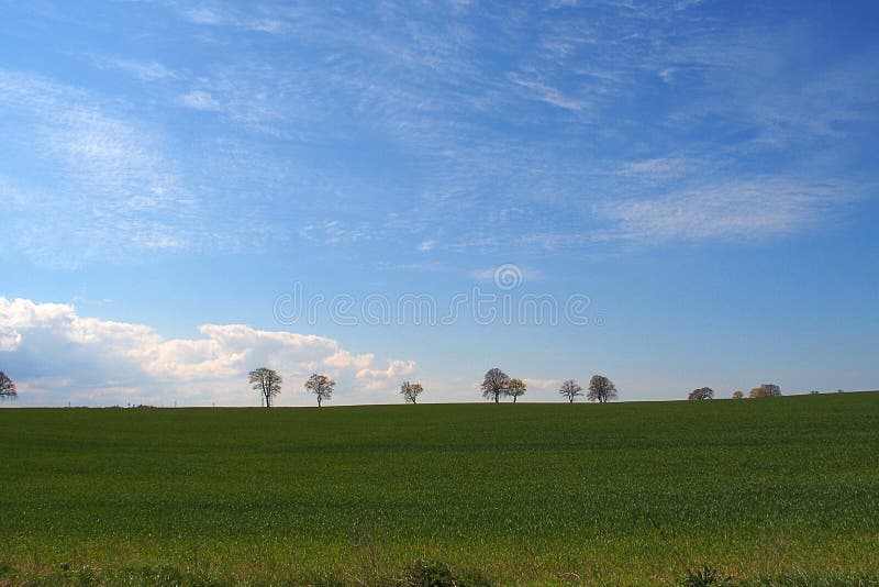 Beautiful Minimalist Spring Landscape Plain with Green Meadows Blue Sky ...