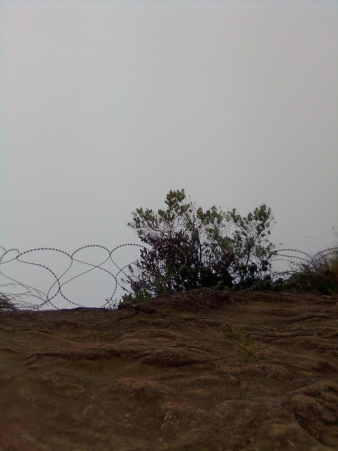 Beautiful Mist Area with Barier Stock Photo - Image of beautiful ...