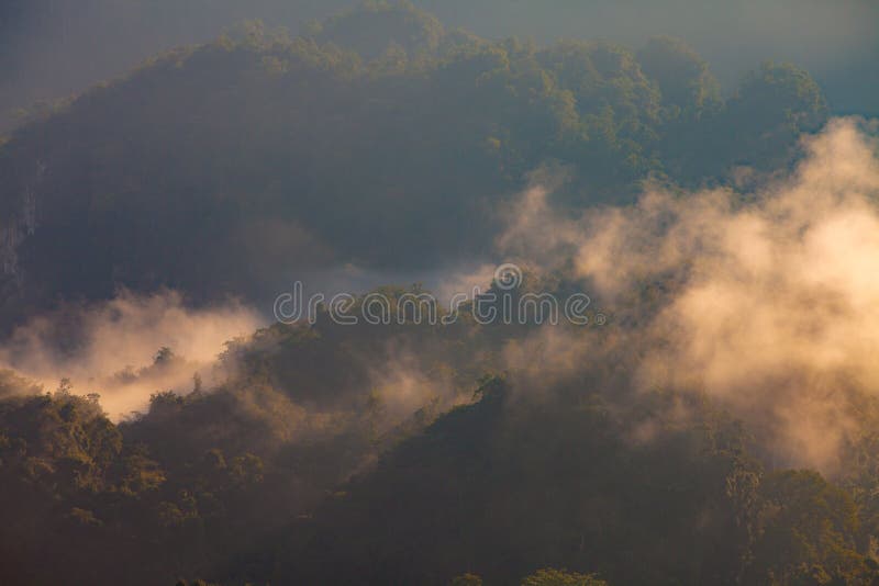Beautiful Mist Flowing on Valley at Phang Nga, Thailand Stock Image ...