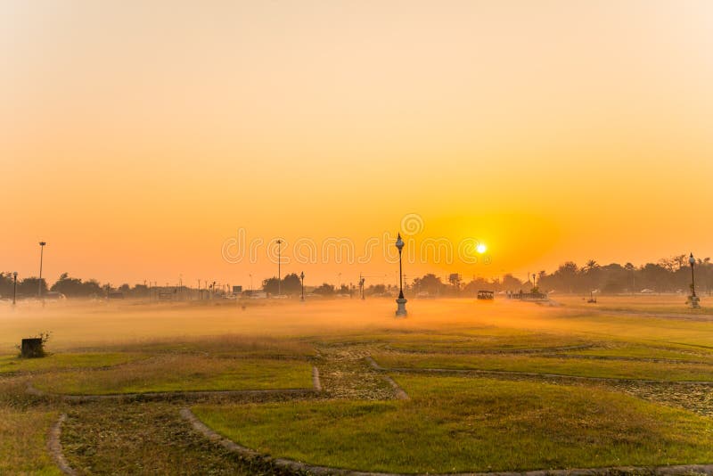 Beautiful mist morning 3 stock photo. Image of leaf, natural - 87764306