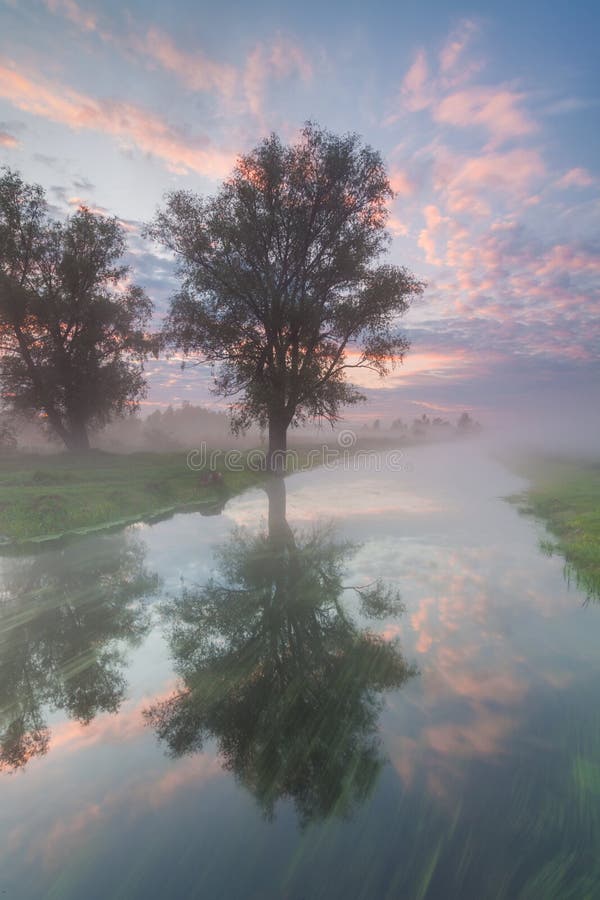 Beautiful Misty Dawn in the Spring on the River Stock Image - Image of ...