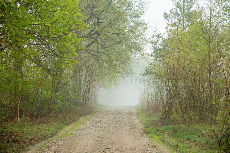 Beautiful Lech Fall Surrounded with Autumn Colours in Fussen Stock ...