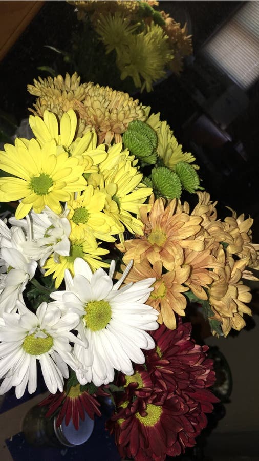 Beautiful Mix of Flowers stock image. Image of flowers - 164694741