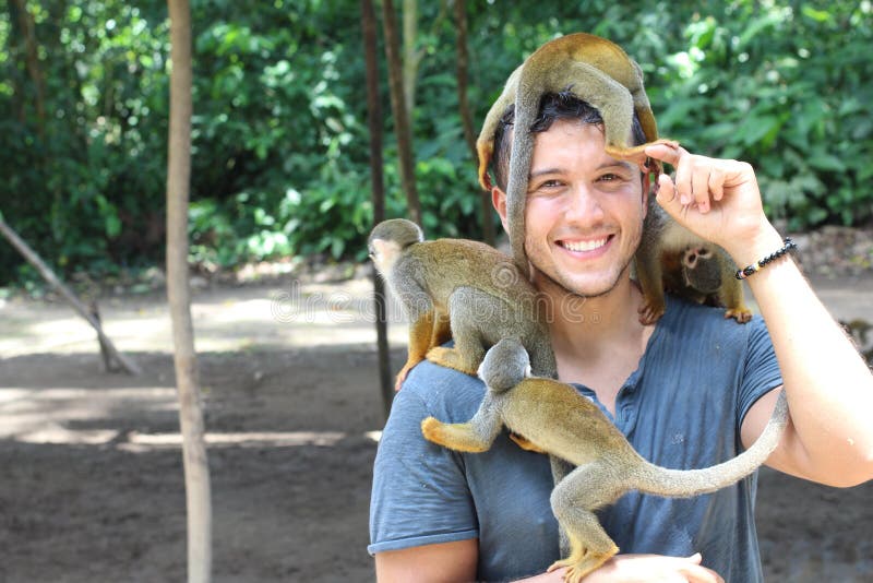 Beautiful Monkeys Interacting with a Human Stock Photo - Image of help ...