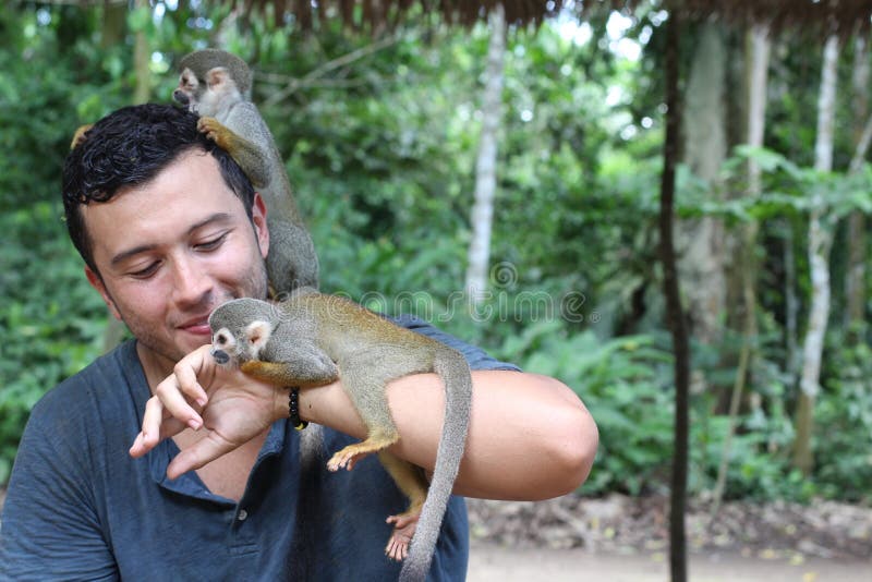 Beautiful Monkeys Interacting with a Human Stock Image - Image of ...
