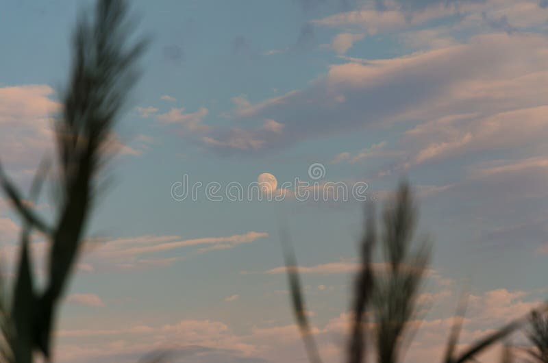 Beautiful Moon in the Evening Sky Sunset Stock Photo - Image of ...