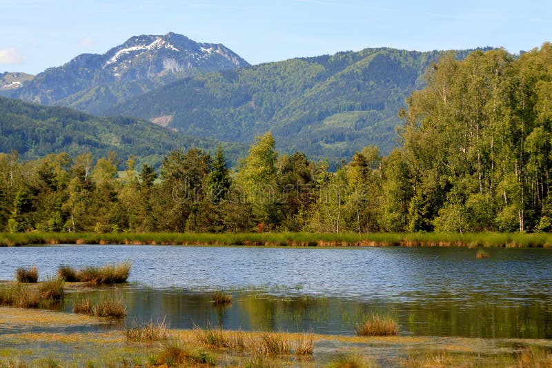 The Beautiful Moor in Nicklheim Stock Image - Image of moor, nature ...