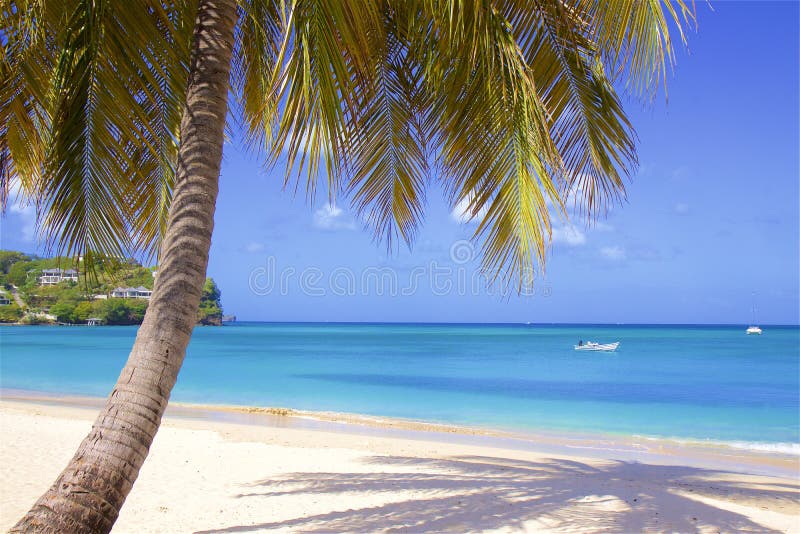 Morne Rouge Beach in Grenada, Caribbean Editorial Stock Image - Image ...