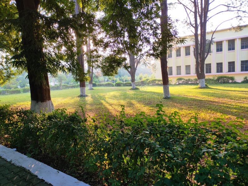 Beautiful Morning in BIT MESRA RANCHI Stock Photo - Image of morning ...