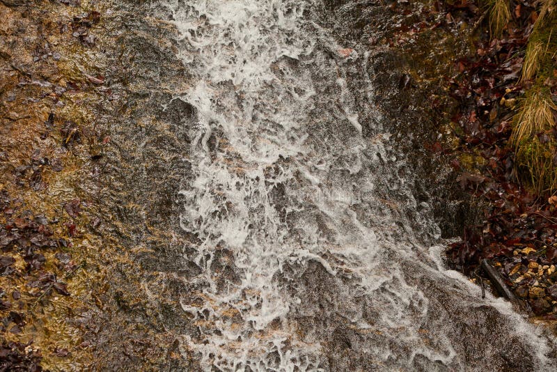 Beautiful Morning Forest Landscape without People in Mountains Stock ...