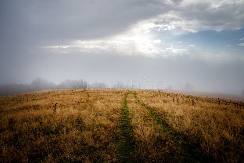 Beautiful Morning Mountains in Fog. Summer Mountains. Stock Image ...