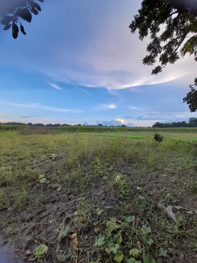 Neatcher Stock Photos - Free & Royalty-Free Stock Photos from Dreamstime